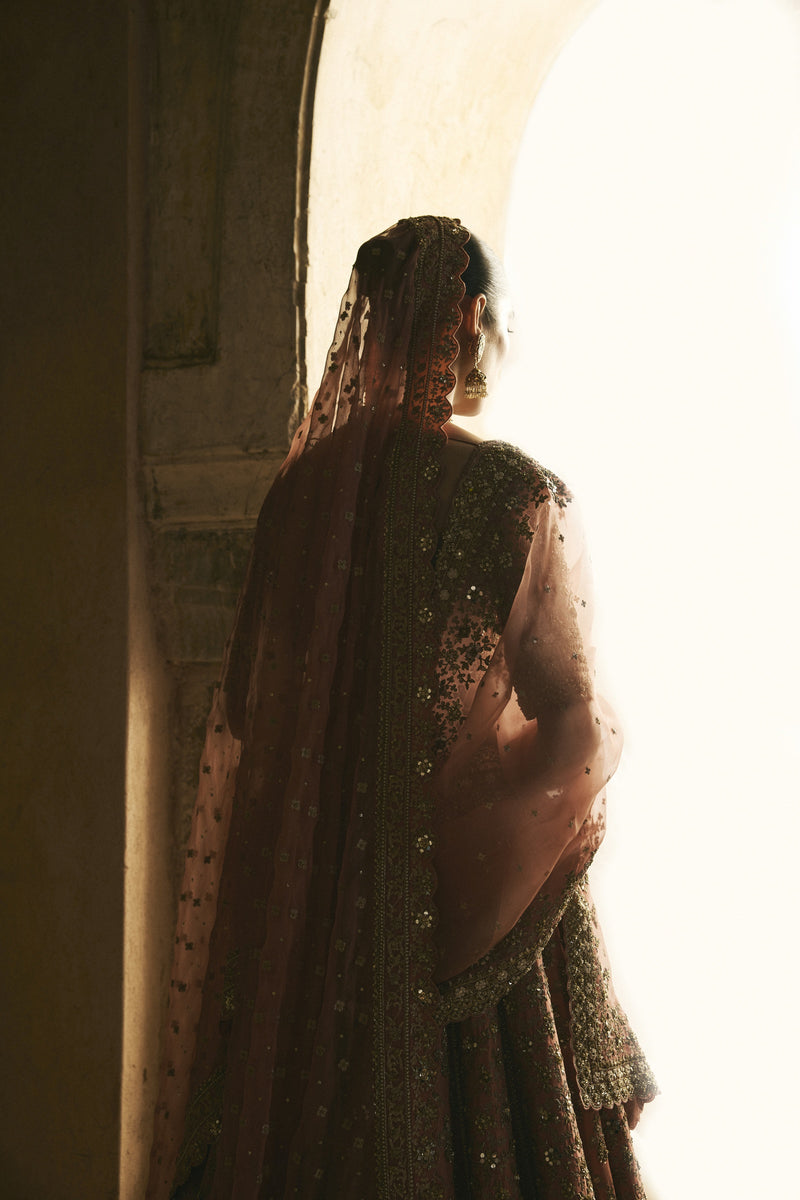 Rust Panel Lehenga – arbyrheakapoor
